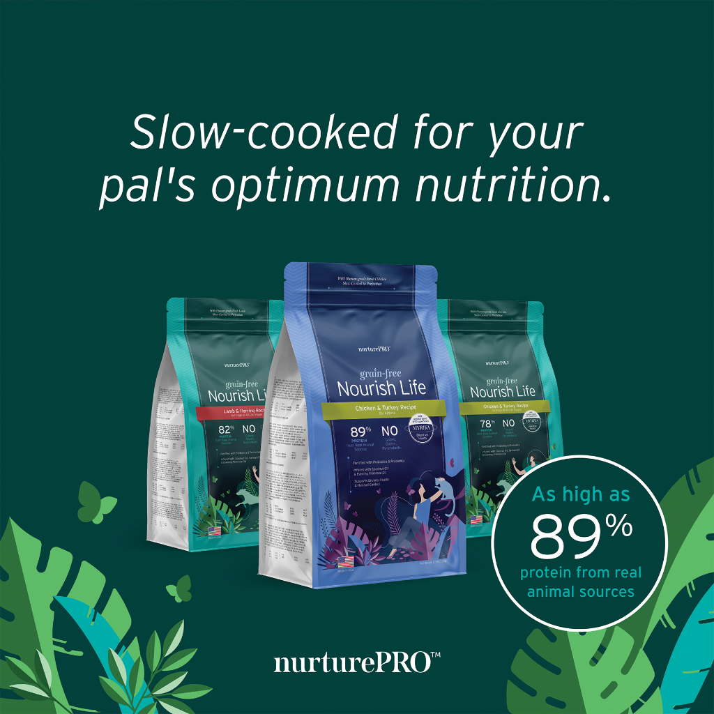 [2 for 3% OFF] Nurture Pro Nourish Life Grain Free Dog Dry Food 3lb ...