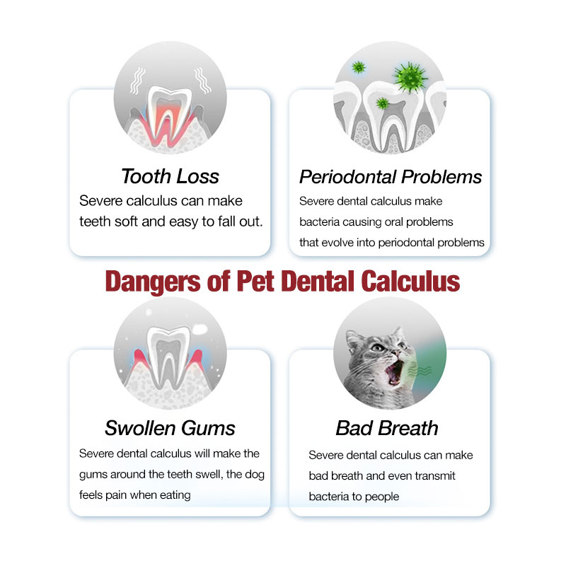 [SG Seller]Kojima Pets Dogs Dental Calculus Stones Remover/Pet Teeth ...