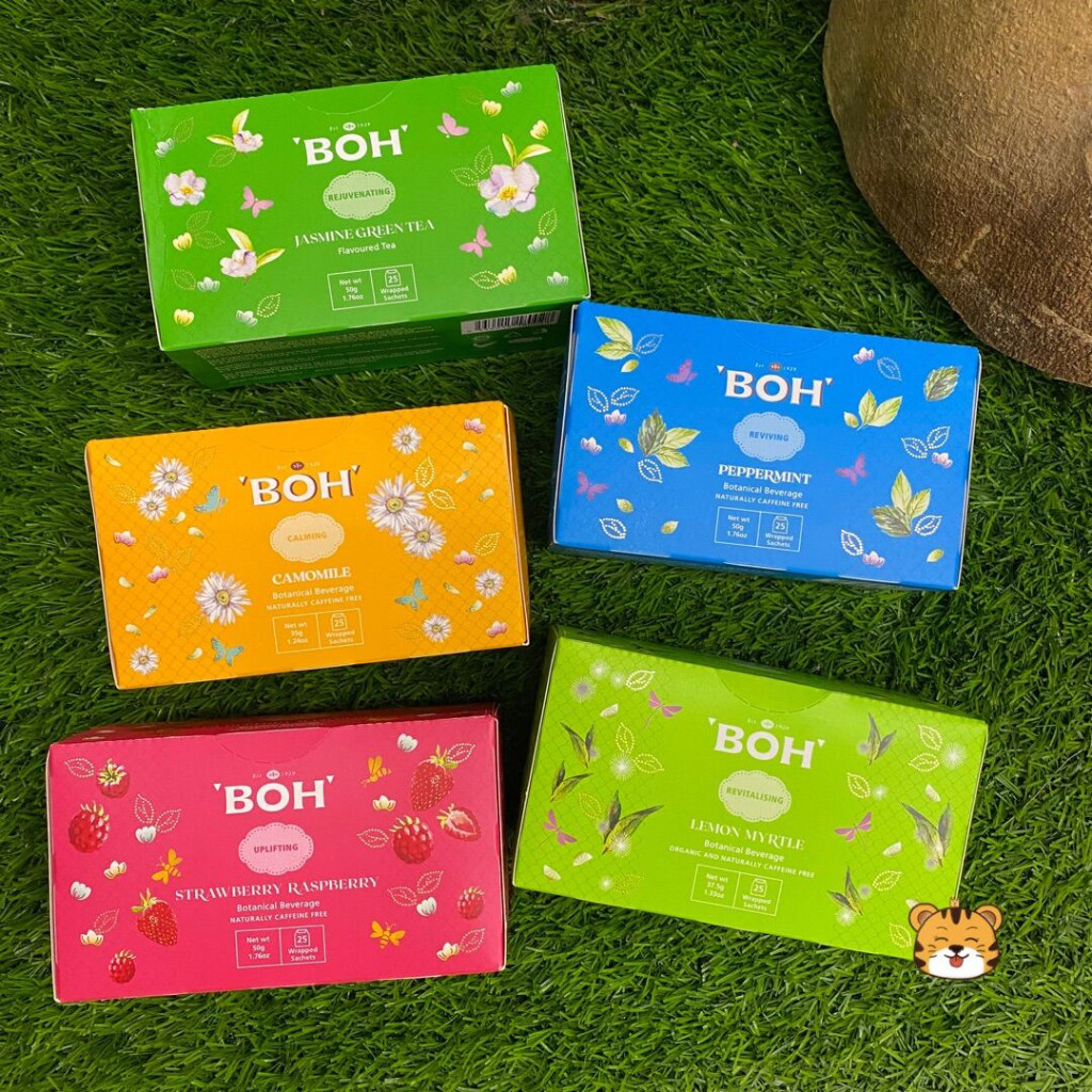 [Bundle of 2]BOH Peppermint Tea/Jasmine Green Teabag 2g x 25sachets 🔥SG ...