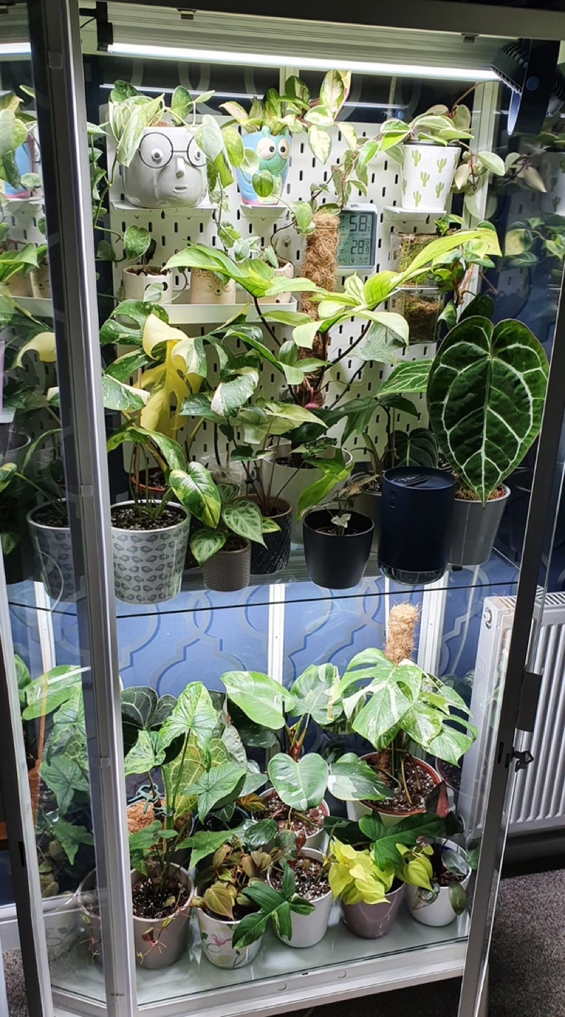 Sprout lab | T5 LED Grow Light for Plants Full Spectrum | 24 watt/48 ...