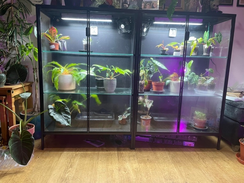 Sprout lab | T5 LED Grow Light for Plants Full Spectrum | 24 watt/48 ...