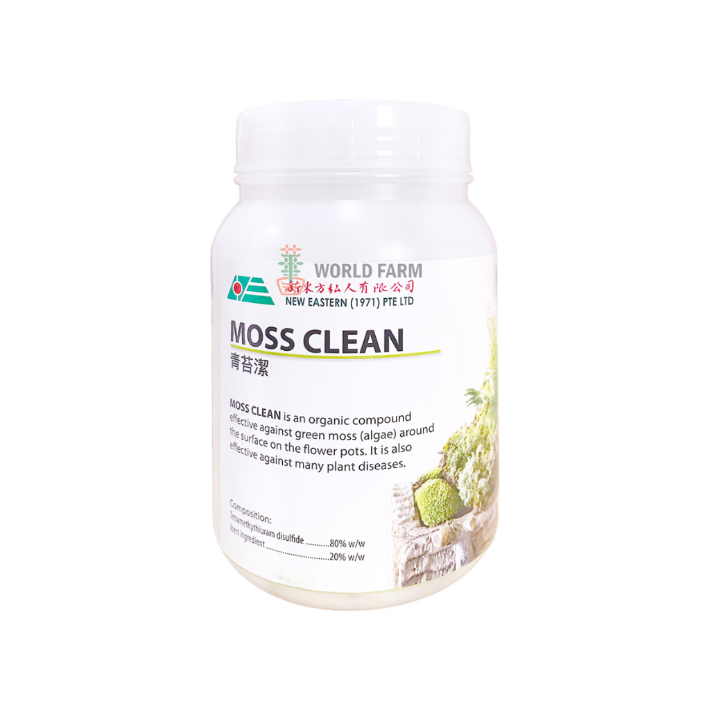 MOSS CLEAN, Green Moss (Algae) Remover / Powder Algaecide for Plant ...