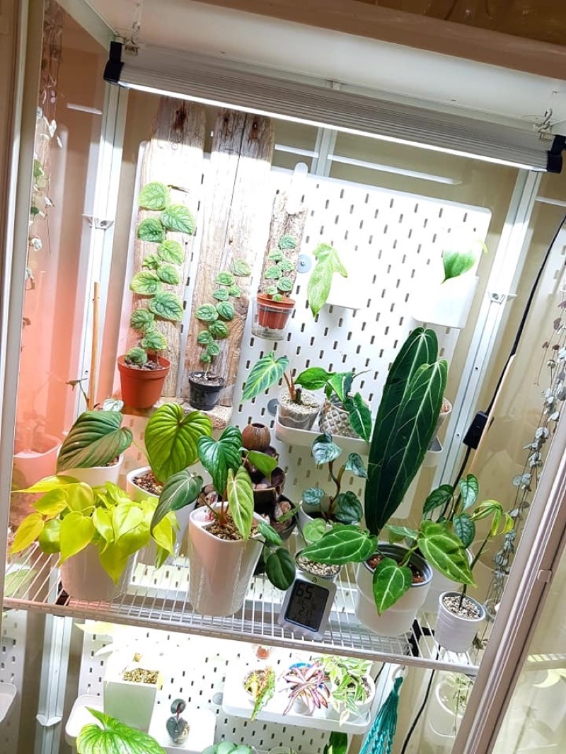 Sprout lab | T5 LED Grow Light for Plants Full Spectrum | 24 watt/48 ...