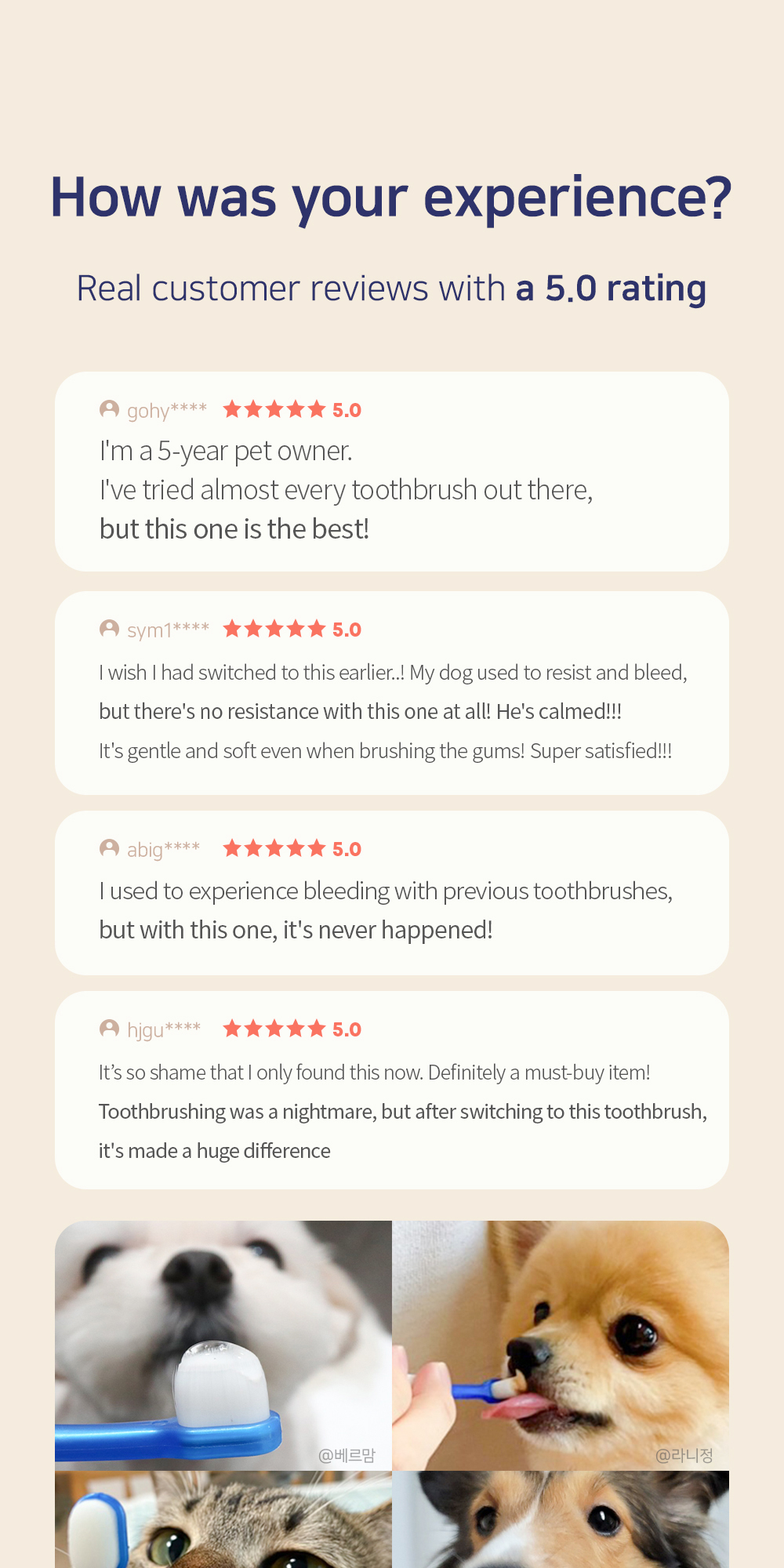 [Junglemonster] Premium Dog and Cat Pet Toothbrush Medium size Dentisoft with extra soft ...