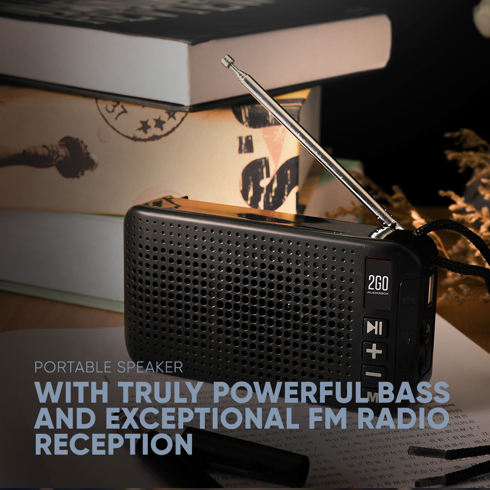 Audiobox 2GO RDO-20 Bluetooth Portable Speaker with Mic | Solar ...