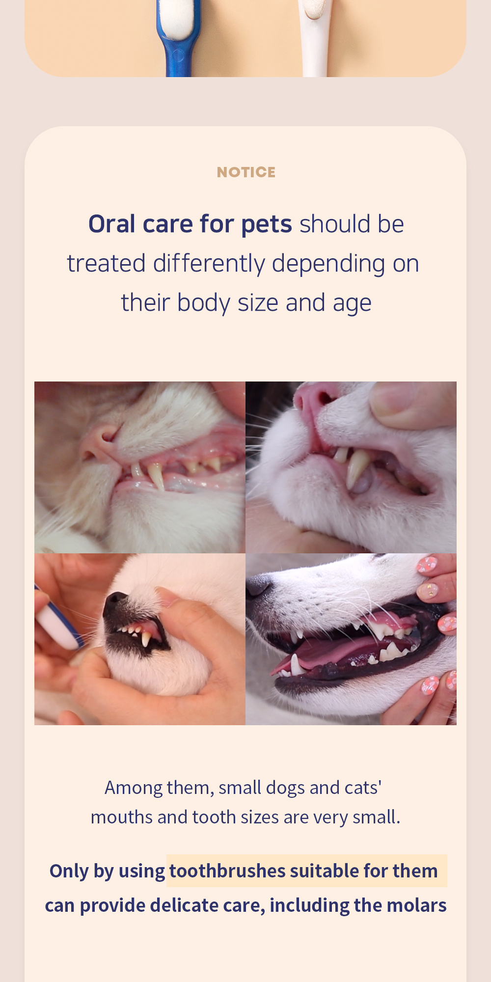 [Junglemonster] Premium Dog and Cat Pet Toothbrush Small size Dentisoft with extra soft Bristles ...