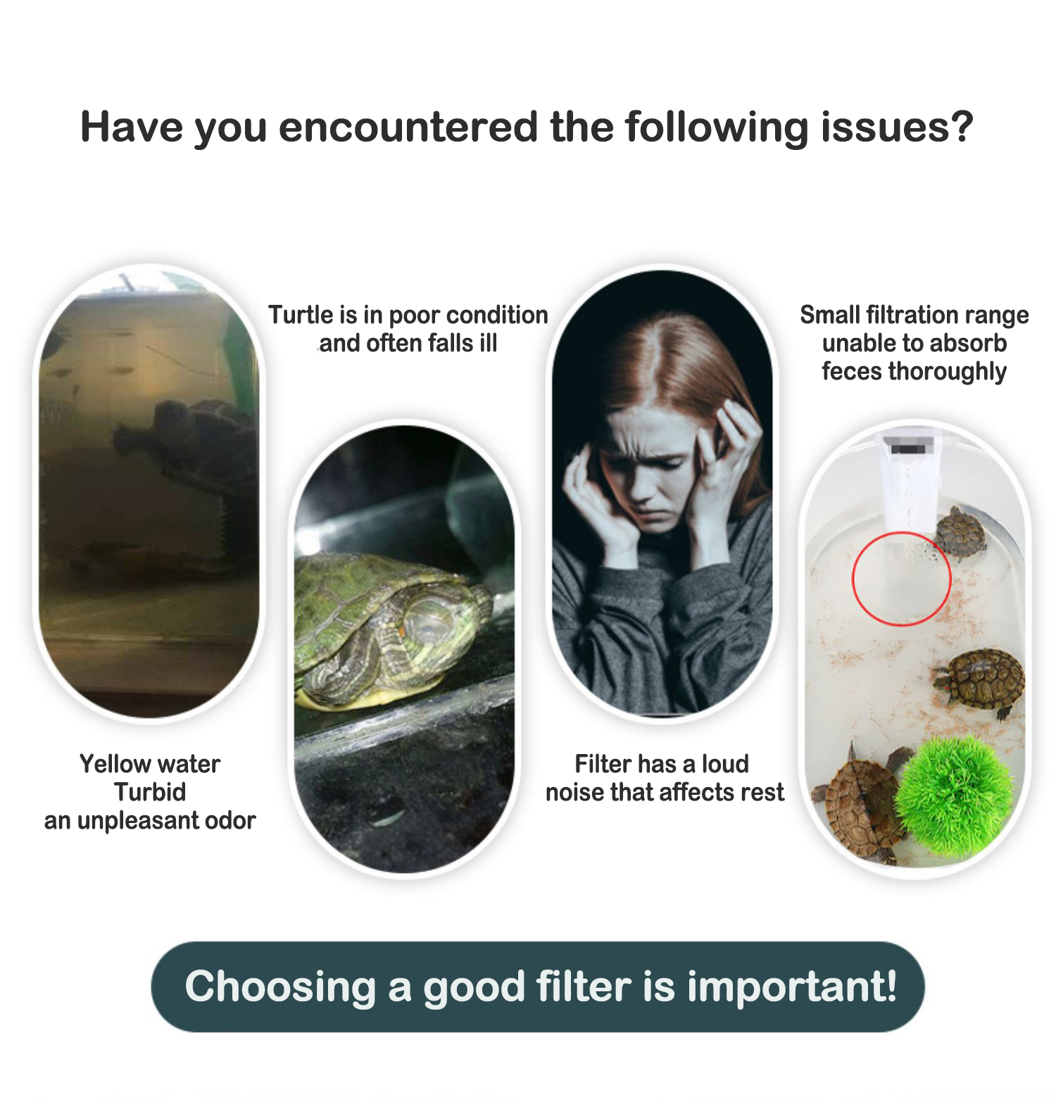 SG Turtle Filter Low Water Level for Turtle Tank, Bottom Suction 3in1 ...