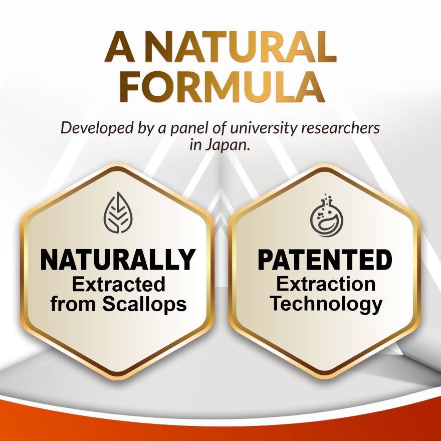 LABO NUTRITION Neuroregain Dietary Supplement Veggie Capsules 60s ...