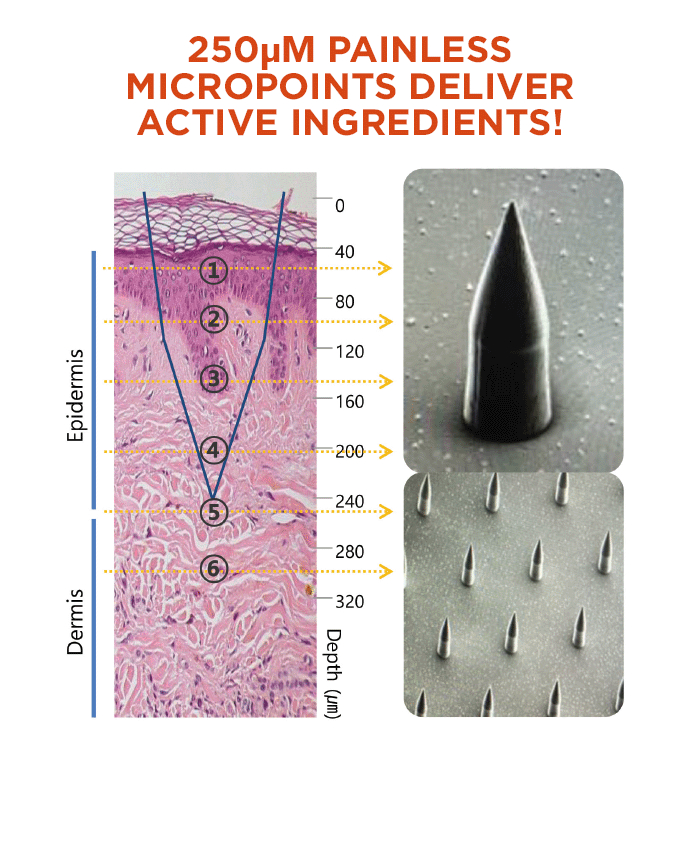 NOLAHOUR Brightening Microneedle Patch 12 Patches Red Spot Care from ...