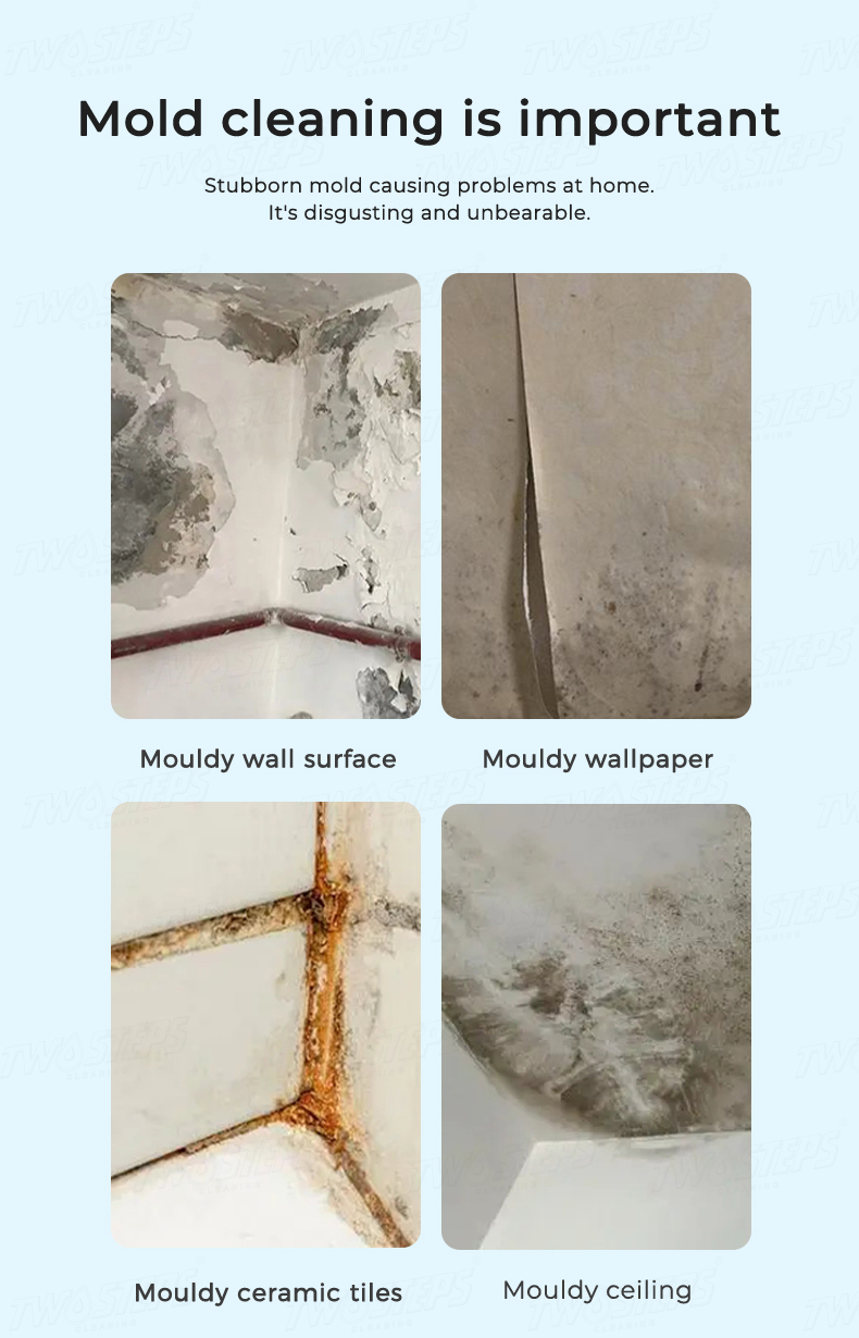 Two Steps Cleaning Mold & Mildew Remover 5 Litre Eco Refill | Shopee ...