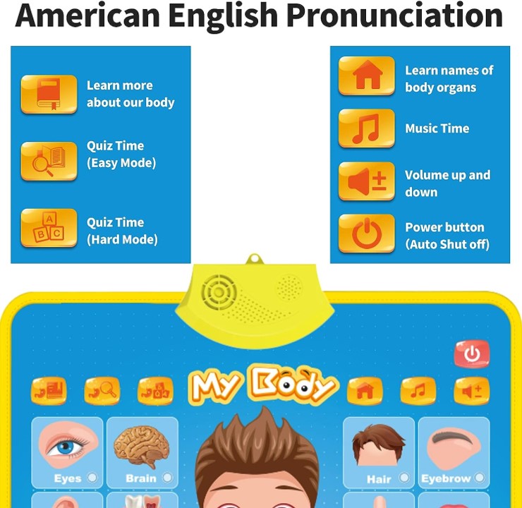 Talking Poster Electronic Children Interactive Talking Poster Alphabet ...