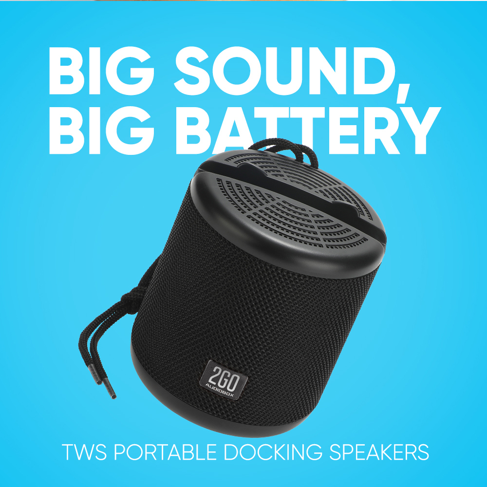 Audiobox 2GO Dock 100 Bluetooth Portable Speaker with Phone Docking ...