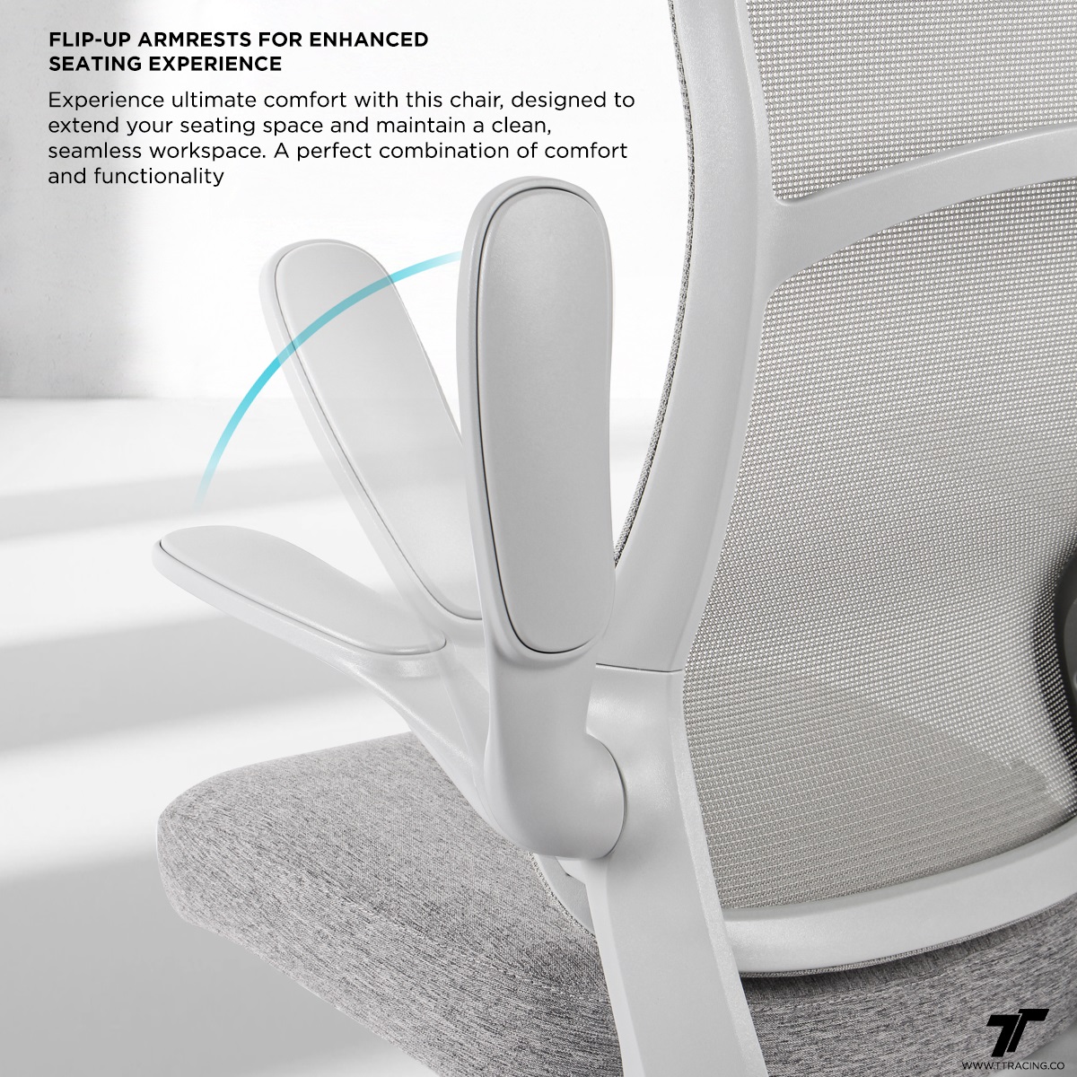 TT Airflex Ergochair Home Office Mesh Chair Executive Ergonomics Chair ...