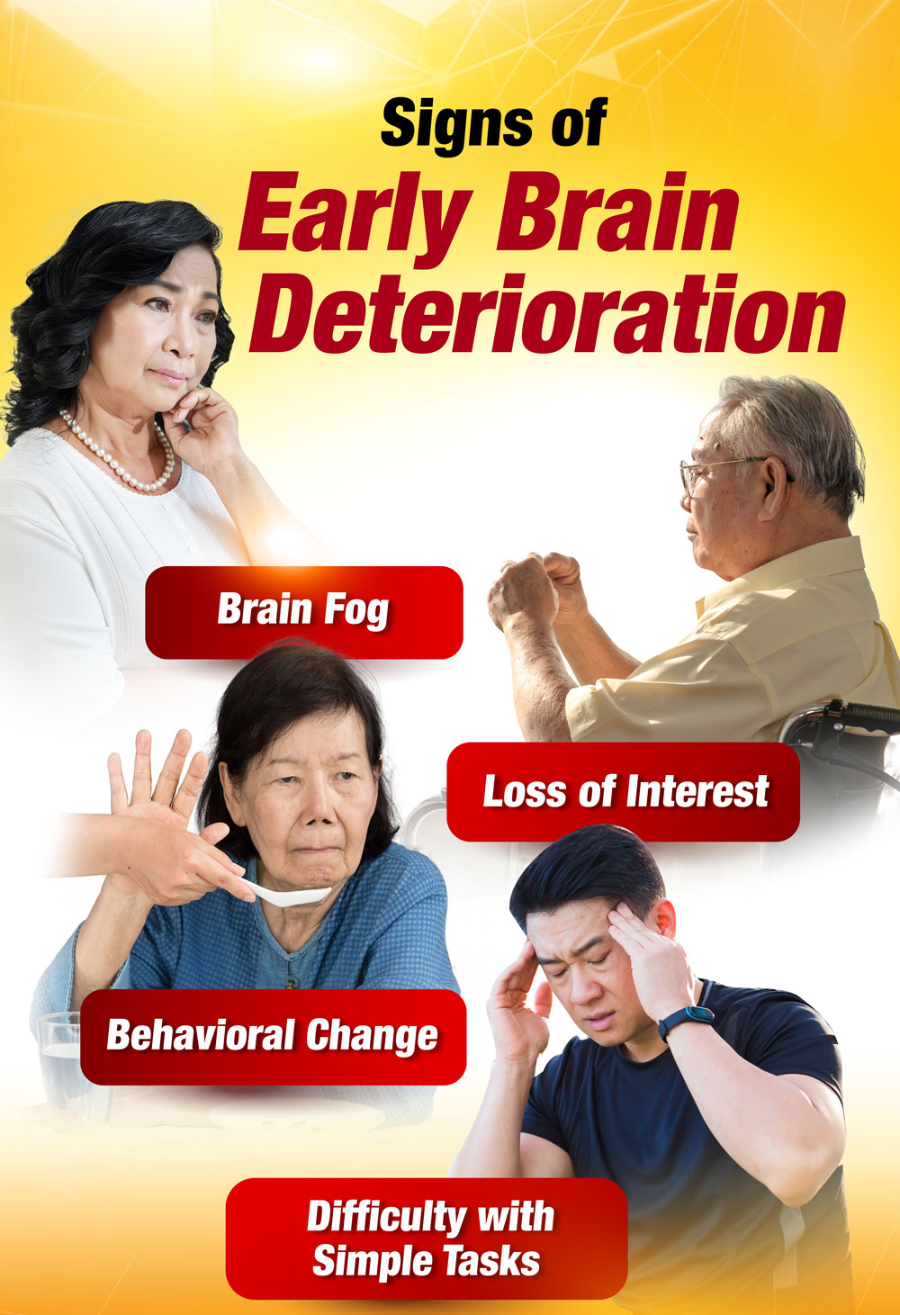 LABO NeuroREGAIN Plasmalogens For Brain Memory, Mental Clarity ...