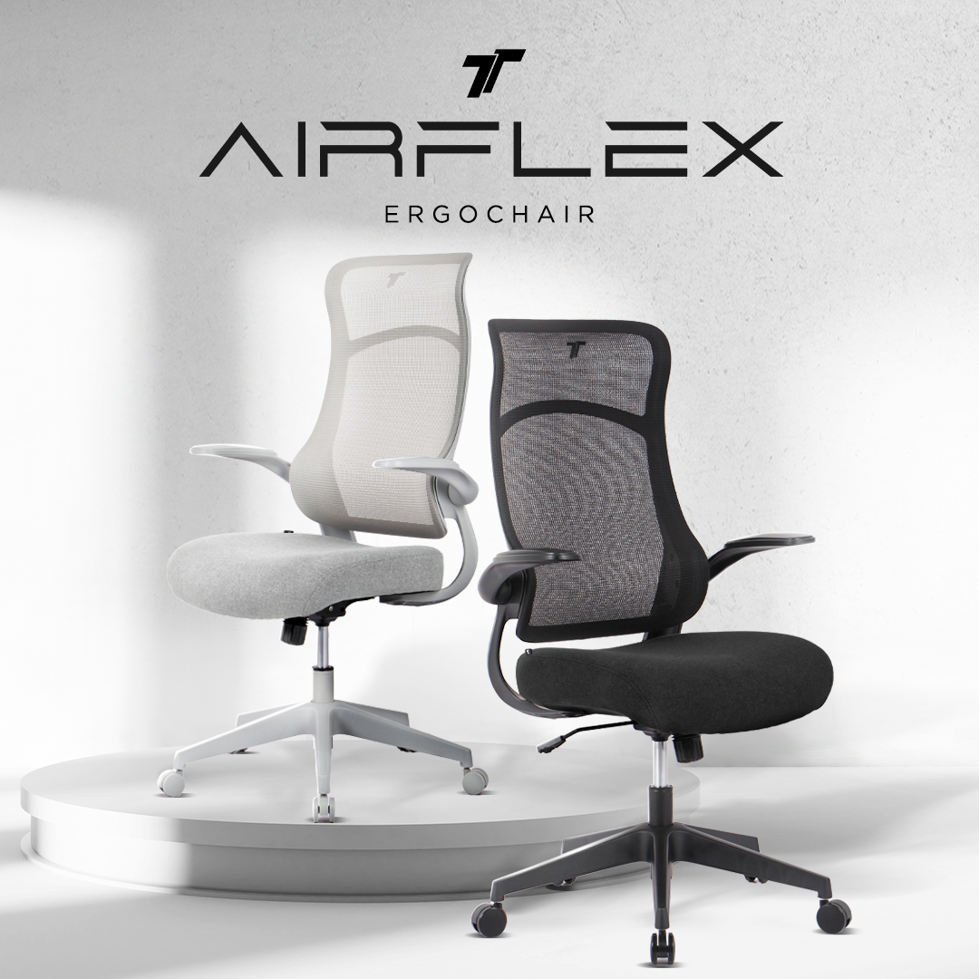 TT Airflex Ergochair Home Office Mesh Chair Executive Ergonomics Chair ...