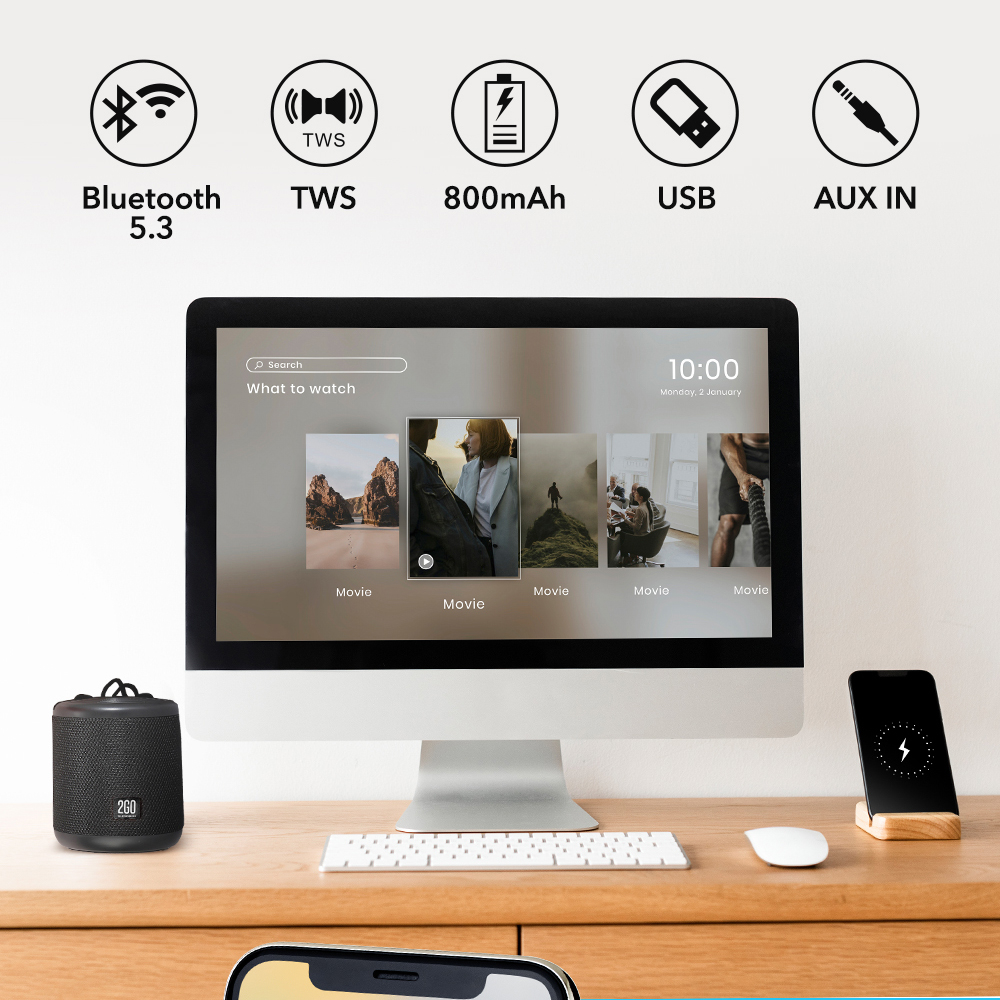 Audiobox 2GO Dock 100 Bluetooth Portable Speaker with Phone Docking ...