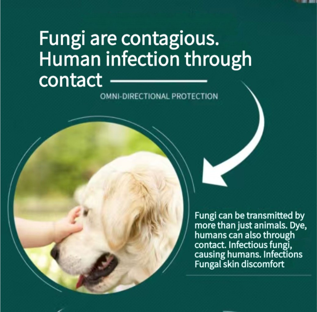 SG [not afraid to lick] fungal skin spray for dogs and cats fungal anti ...