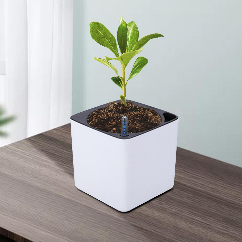 [SG] IMP HOUSE Square Self Watering Planter with Water Indicator Flower ...