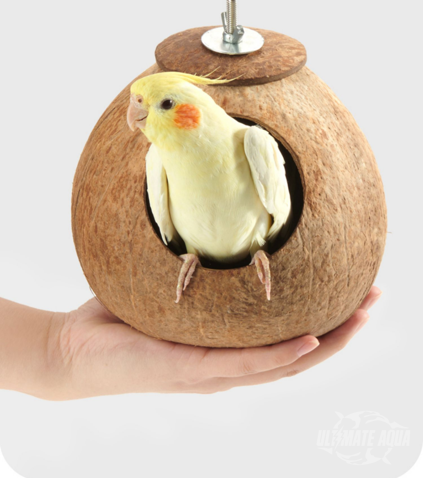 YEE Birds Coconut Shell Breeding Nest Parrots, Tiger Skin Pearl Finch ...