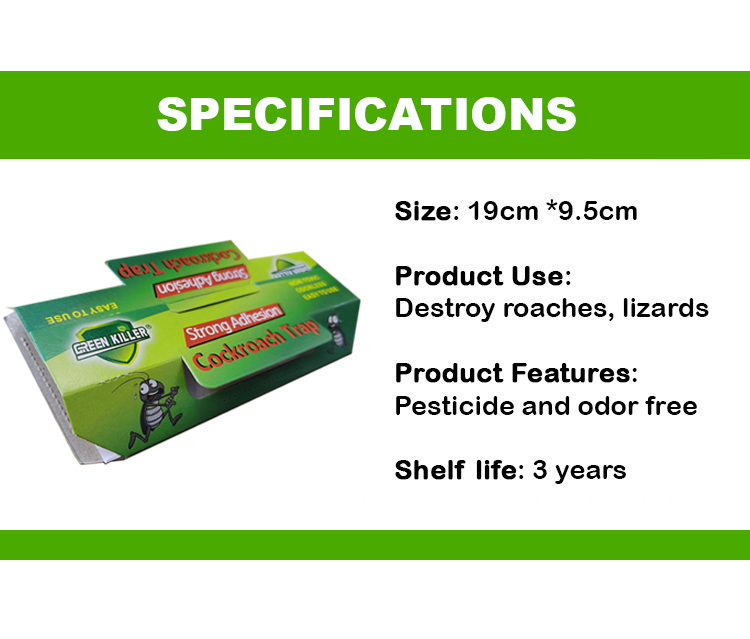 🇸🇬【SG stock】Roach Trap Lizard Traps Stickers Roach Bait roaches ...