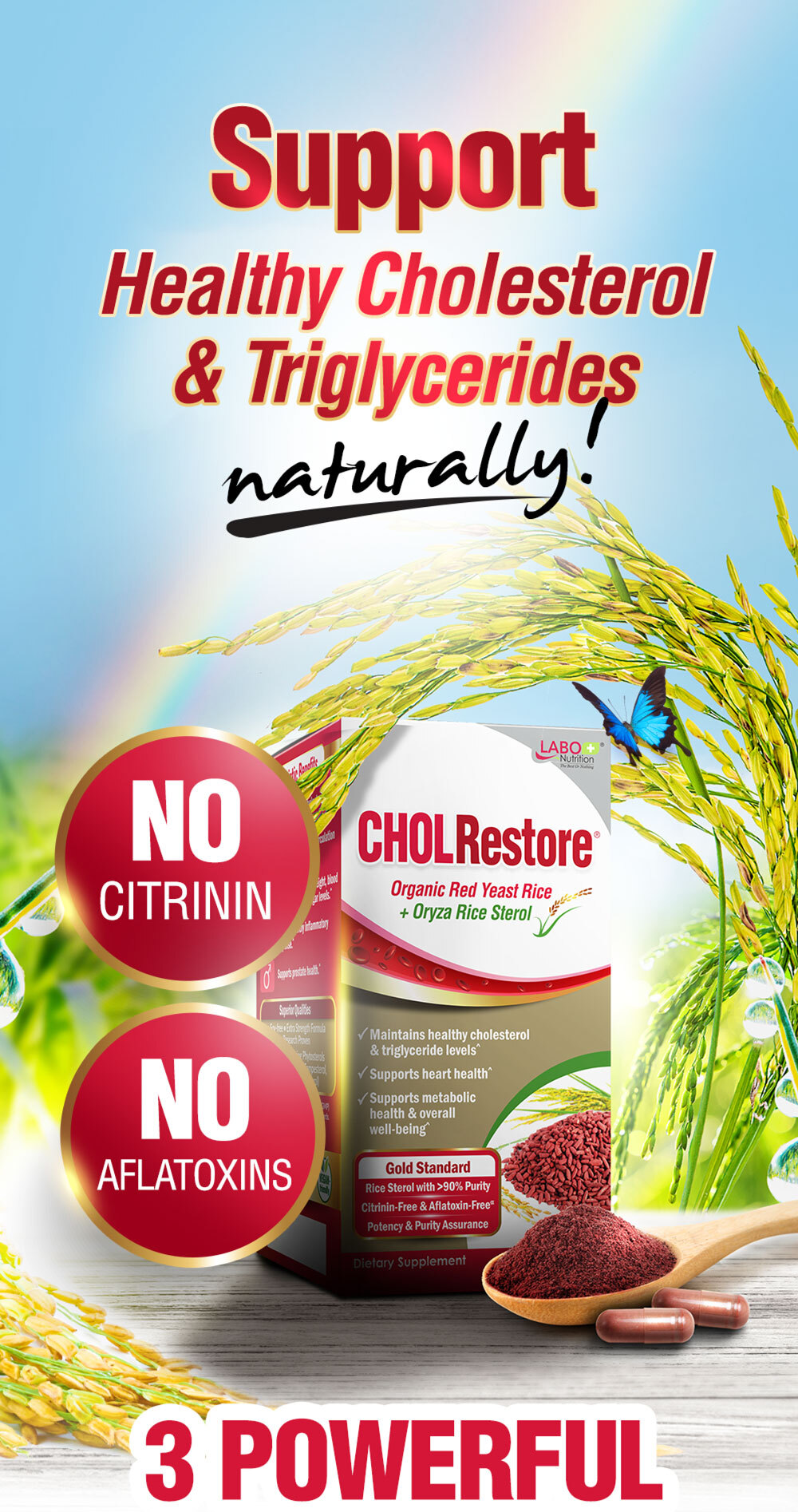 LABO Nutrition CHOLRestore Red Yeast Rice - Cholesterol Triglyceride ...