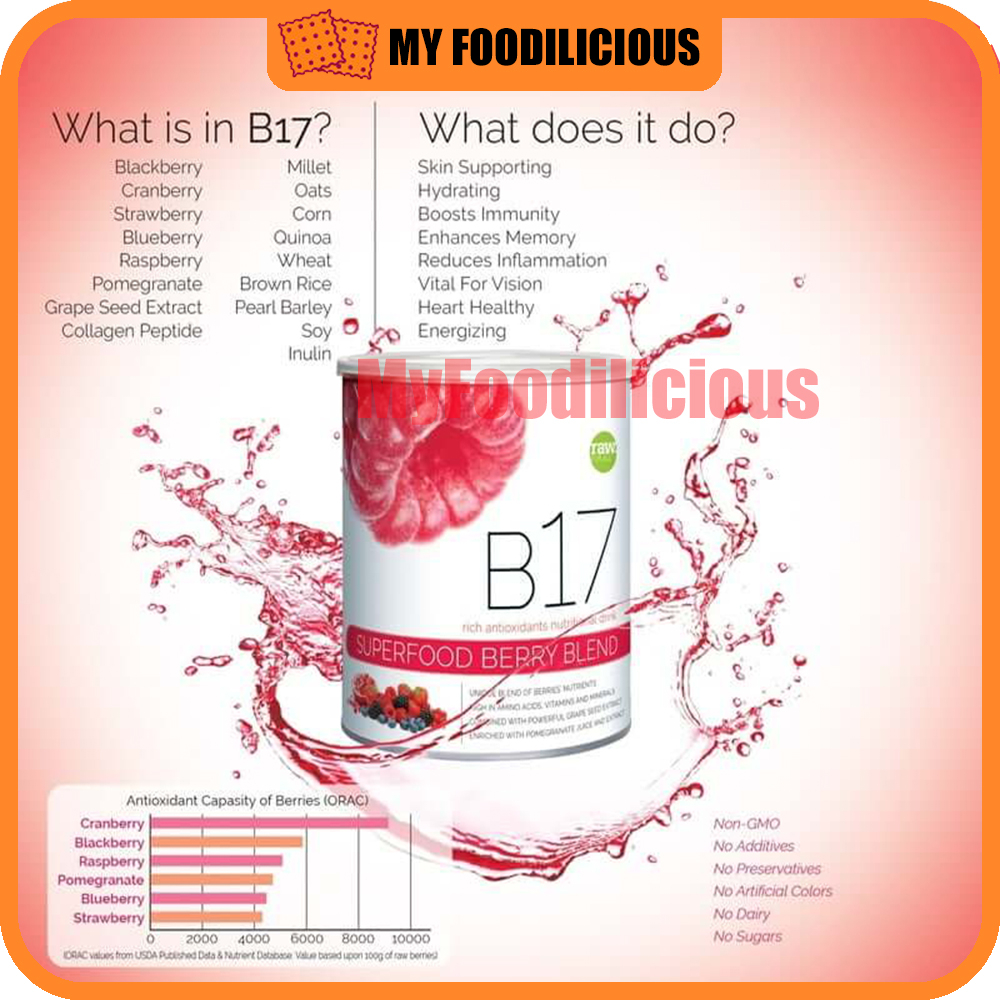 B17 SuperFood Berry Blend -Rich Antioxidants Nutritional 600g | Shopee ...