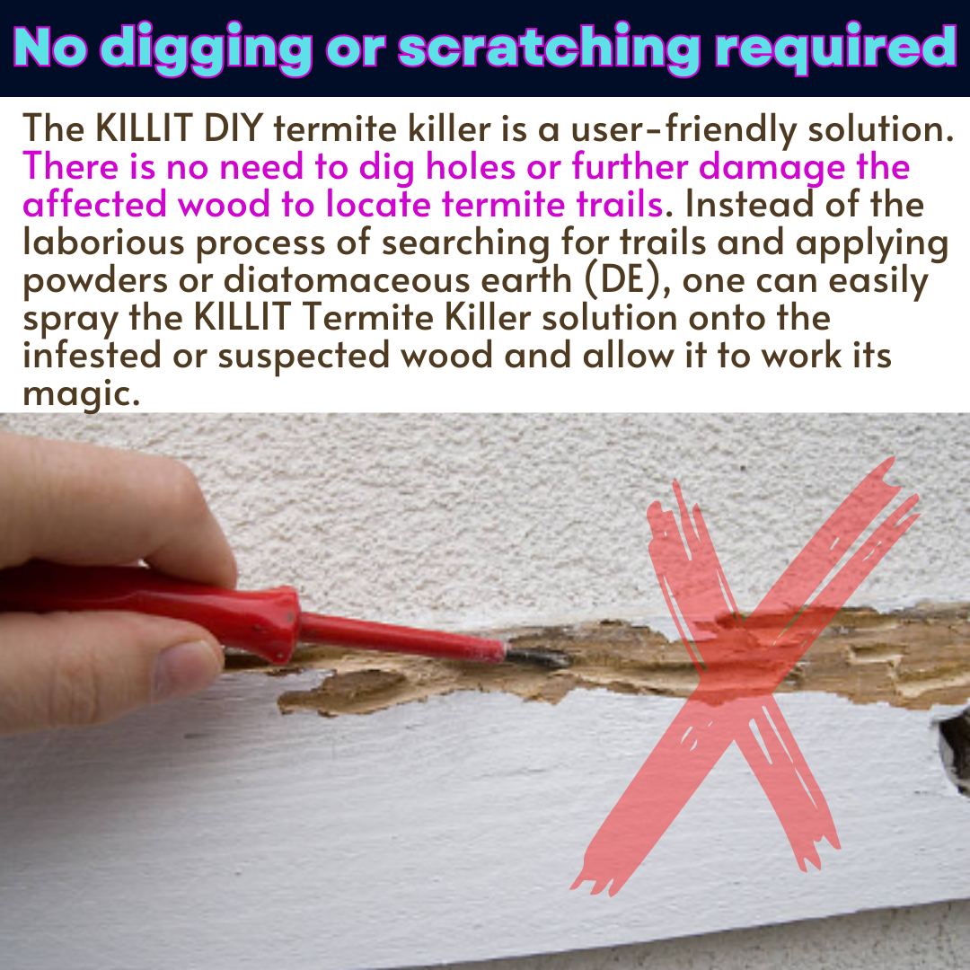 Termite Killer (1000% KILL, Outperforms the competition) | Shopee Singapore