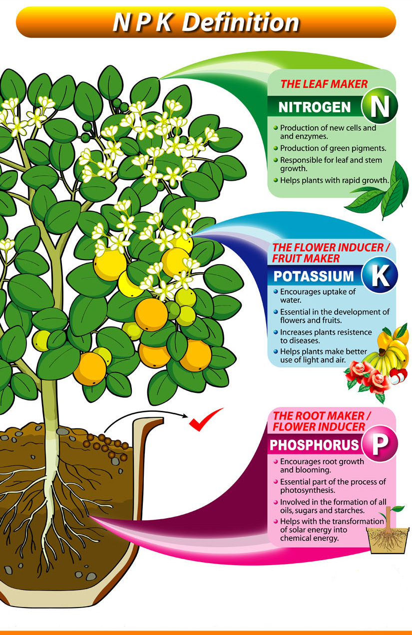 Powercote NPK 15-15-15 General Purpose Controlled Release Fertilizer ...