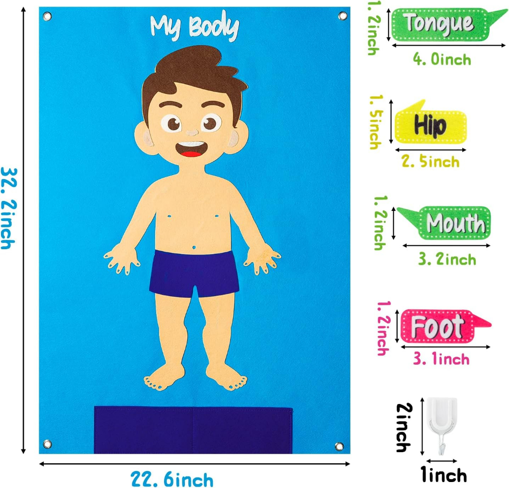 My Body Interactive Educational Poster Body Parts Learning Felt Body ...