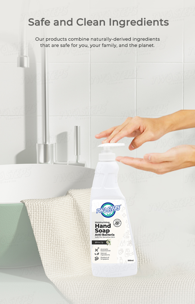 Two Steps Cleaning Hand Soap 5 Litre Eco Refill - Lily | Shopee Singapore