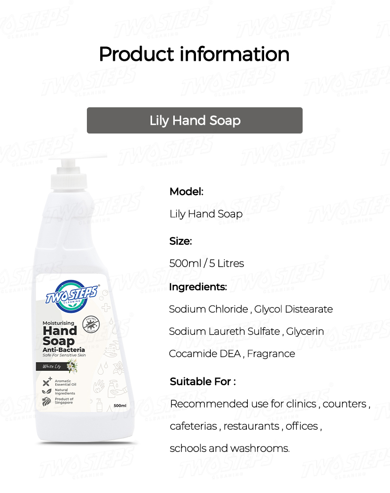 Two Steps Cleaning Hand Soap 5 Litre Eco Refill - Lily | Shopee Singapore
