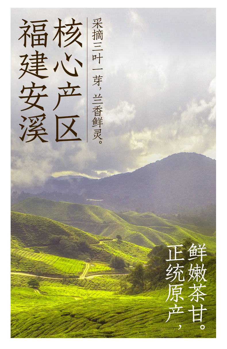 Chi Forest 元气森林 RanTea Oolong Tea Herbal Tea 燃茶乌龙茶 Zero Sugar Free ...