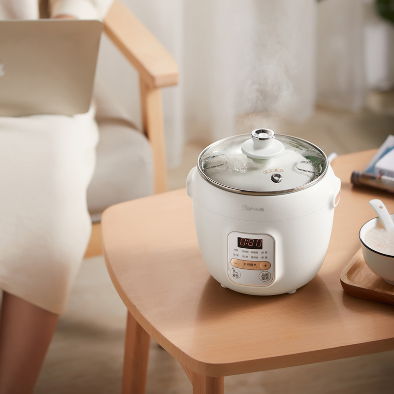 Bear Digital Double Boiler, Slow Cooker 1.0L (DDZ-C10F1) | Shopee Singapore
