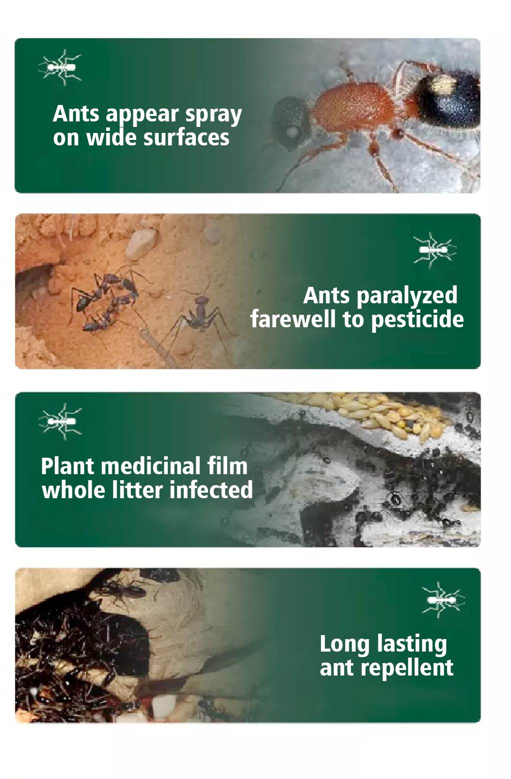 😍 Natural Anti-Ant Spray 350ml l Ants Off- Repellent Spray l Instant ...