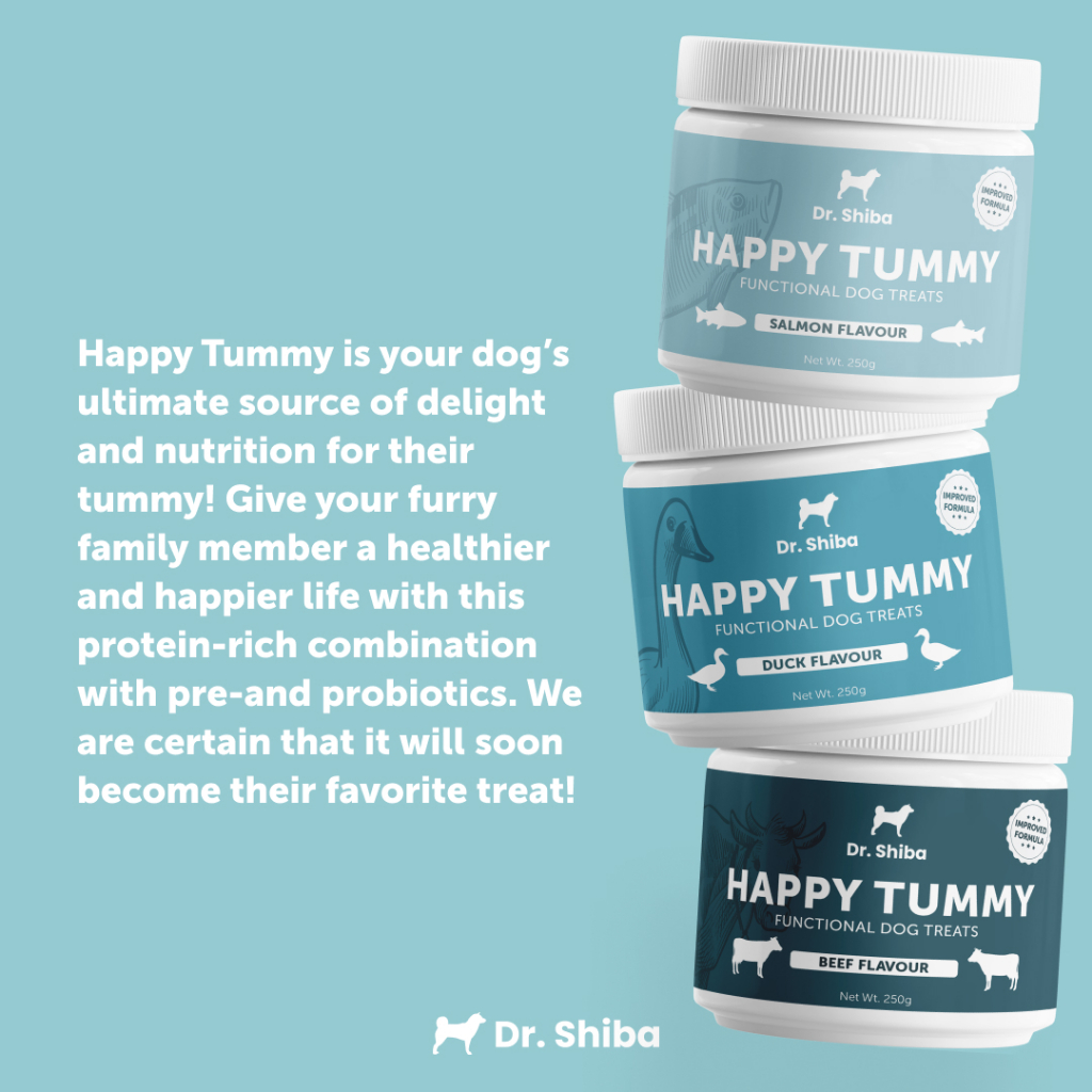 Dr Shiba Happy Tummy 2 X Healthy Dog Treats Snacks, Dog Multivitamins ...