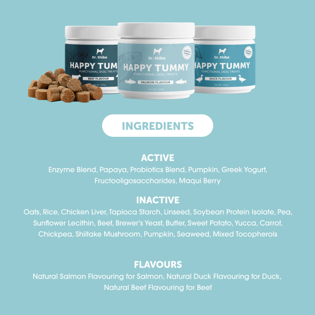 Dr Shiba Happy Tummy Healthy Dog Treats Snack - Dog Multivitamins - Dog ...