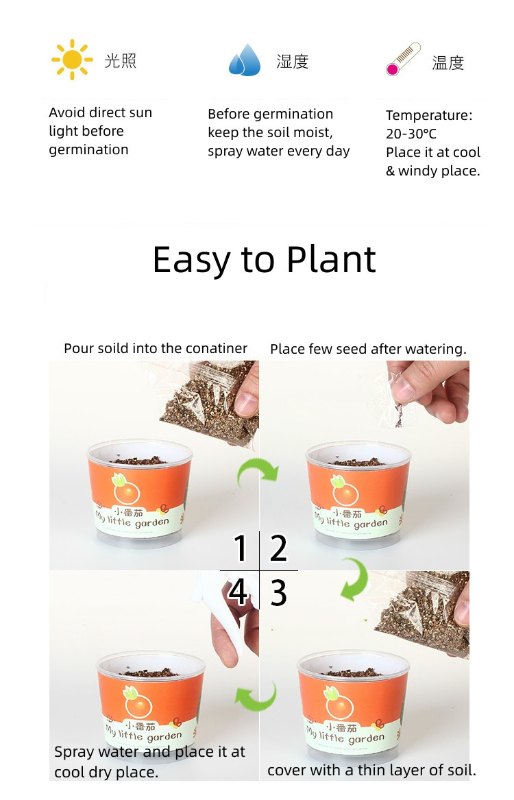 [SG] IMP HOUSE DIY Mini Plant Kit for Kids My Little Garden Series Easy ...
