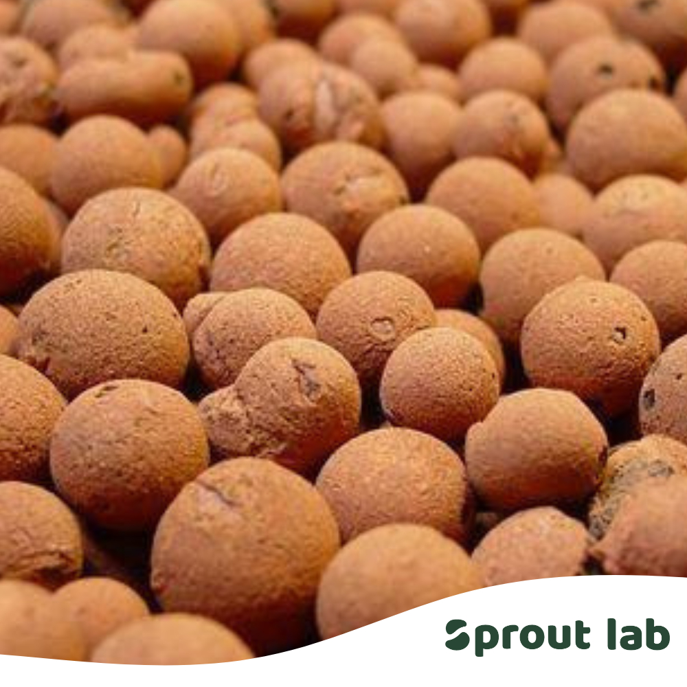 Sprout lab | Premium Heavy Leca Balls 5L (S,M) Clay Balls | Shopee ...