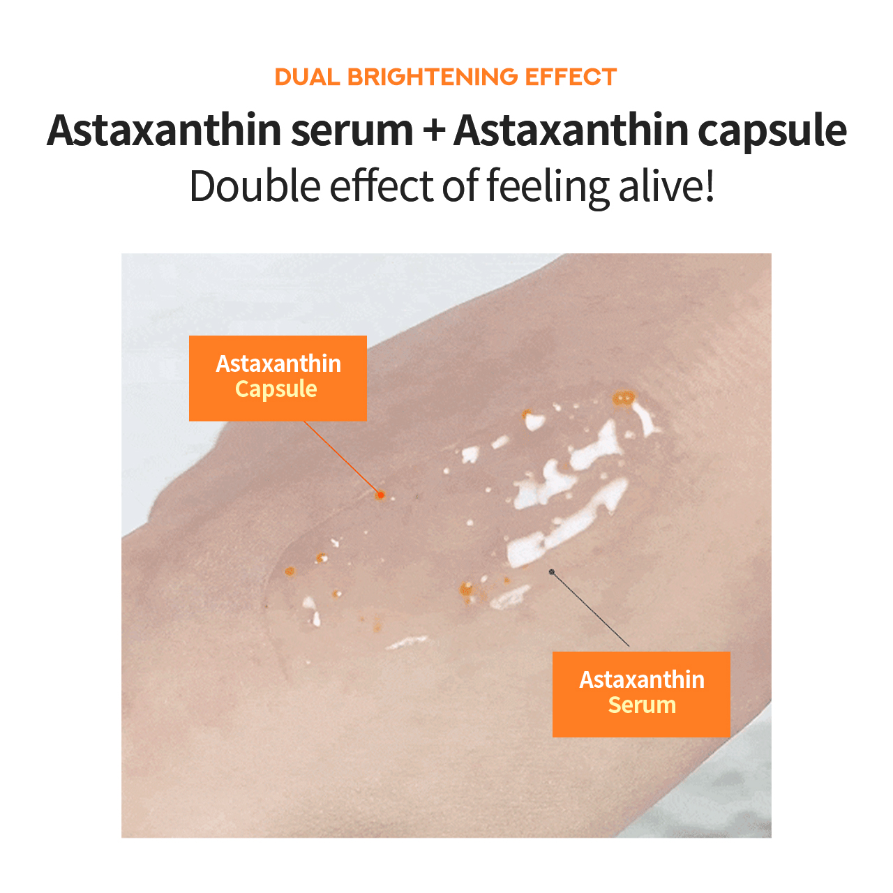 [SUNGBOON EDITOR] Active Marine Astaxanthin Capsule Serum + Astaxanthin ...