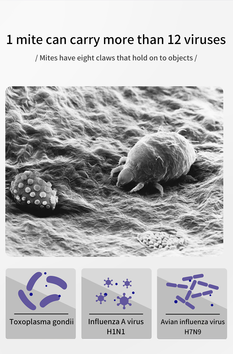 Japan Mite Removal Spray Anti Fungal Lice Mould Dust Mites Spray 99.9% ...
