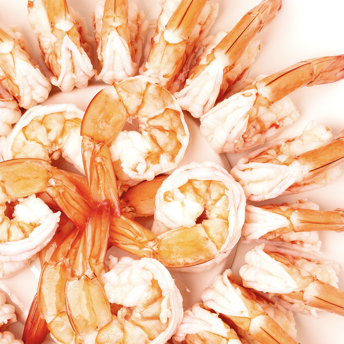 [SEACO] Prawn Tiger PDTO (13-15) | Shopee Singapore