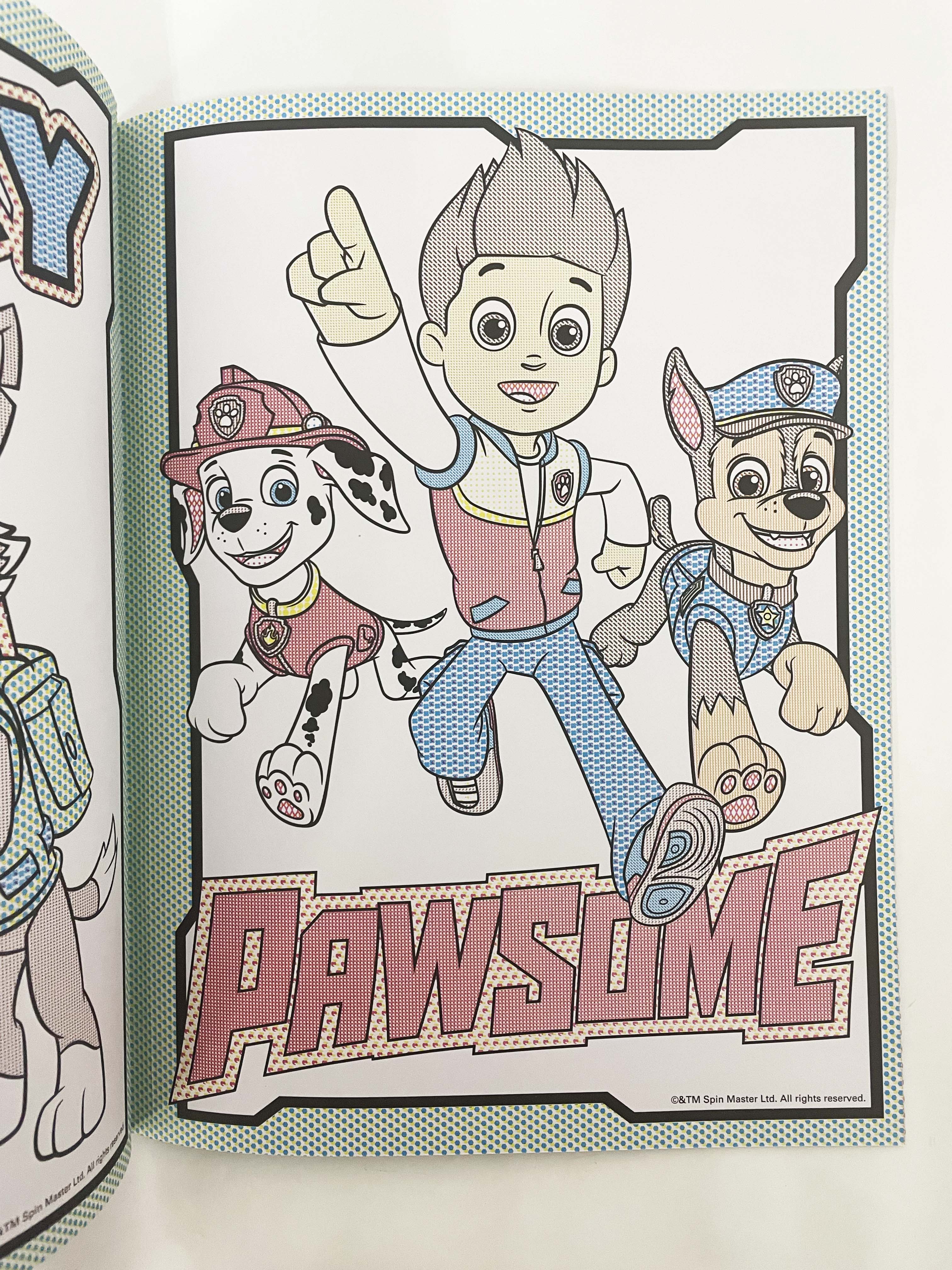 Paw Patrol Paint with Water Activity Book for Kids With Many Pages to ...