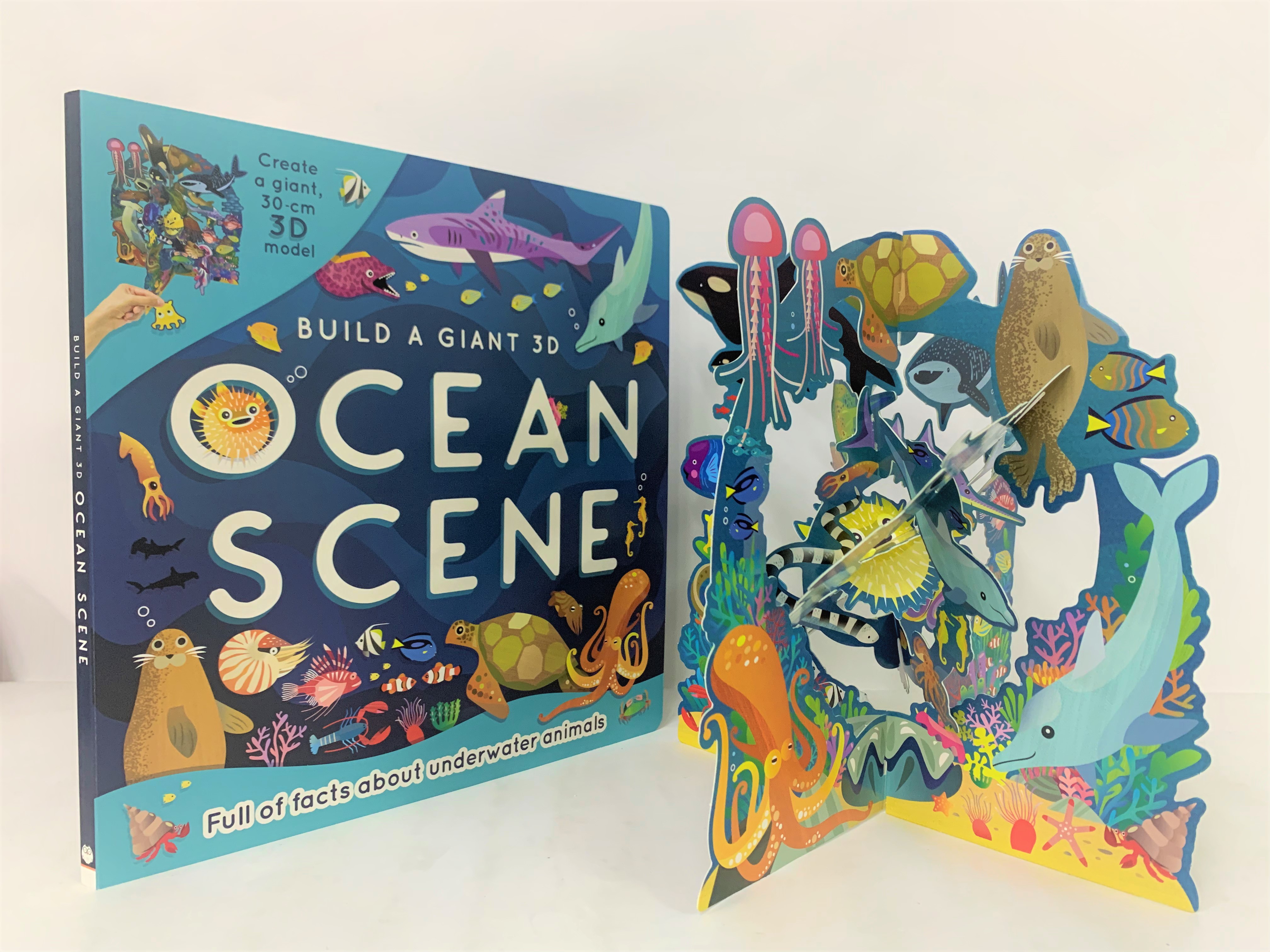 Ocean Scene Giant 3D Model & Book For Kids to Learn About Sea Animals ...