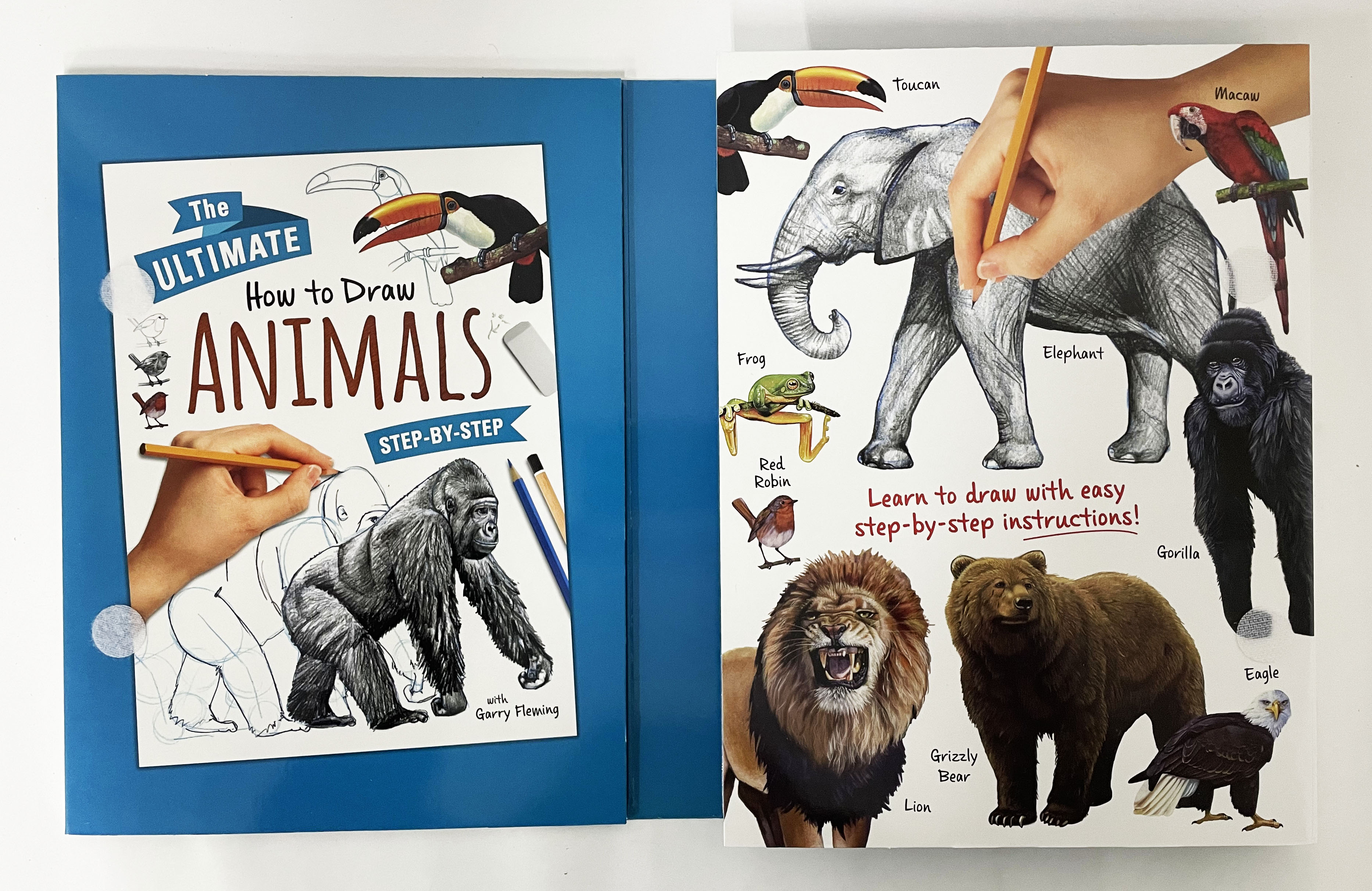 How to Draw Animals Book & Kit Gift Box For Kids With Stationery Sketch ...