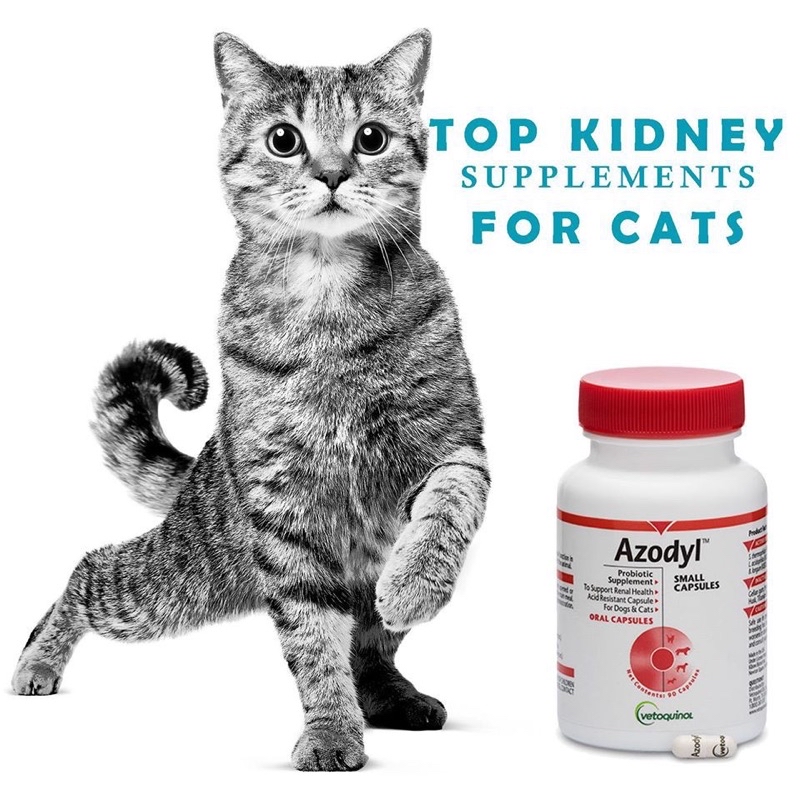 Azodyl 90 oral capsules made in USA | Shopee Singapore