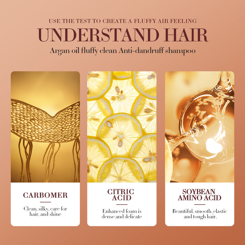 SADOER Morocco Argan Oil Shampoo Argan Oil Anti-Dandruff Shampoo 500ml / Morocco Argan Oil ...