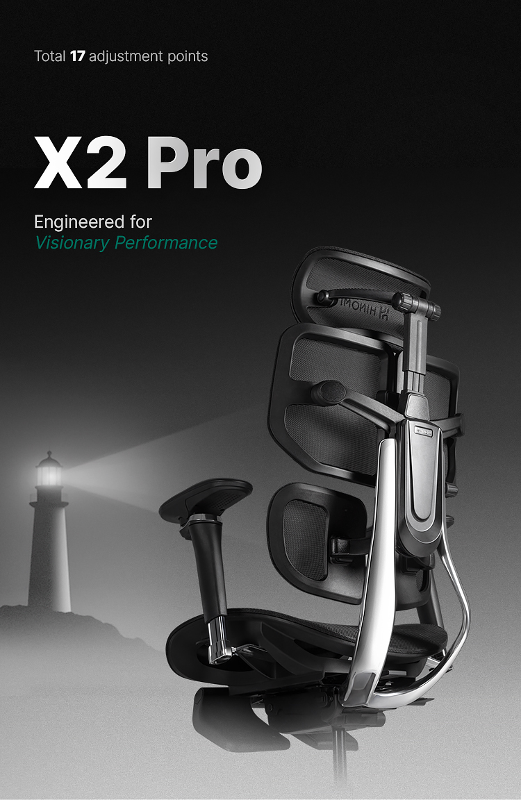 Hinomi X2 Pro Ergonomic Chair With 3D Back Support, Home Office Chair ...