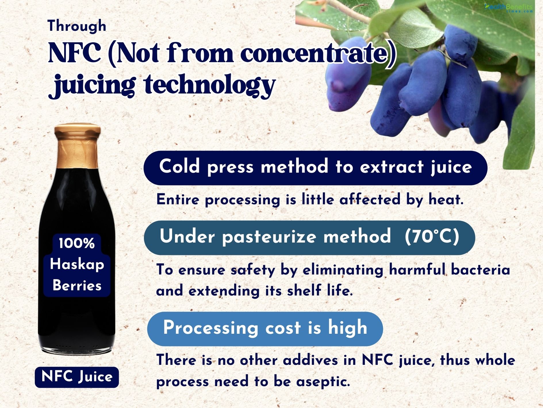 [READY STOCK] Simply Natural Siberian Haskap Berry Elixir 500ML , 100 ...