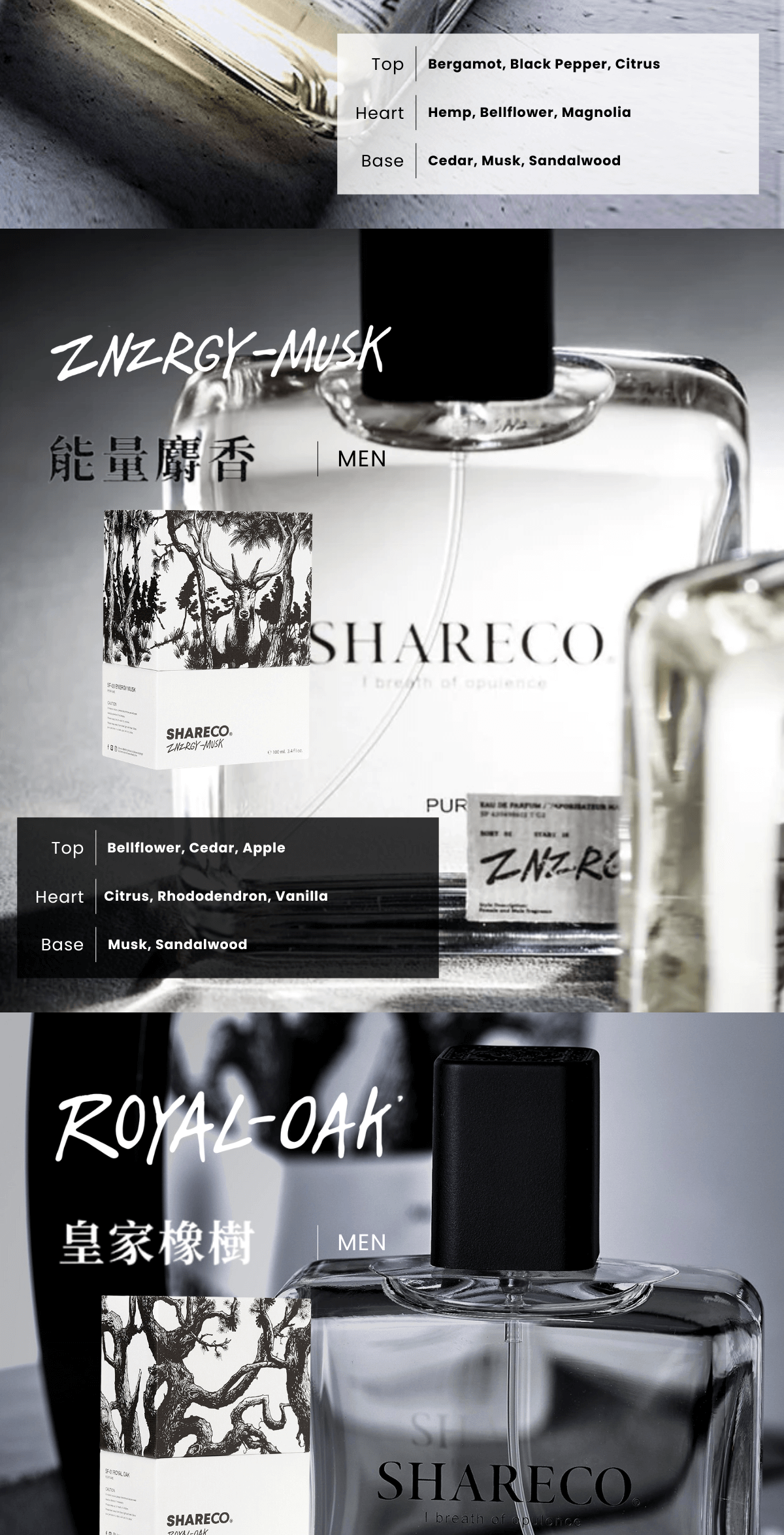 SHARECO - Eau de Parfum (EDP) 100ml [Perfume] - Official Distributor ...