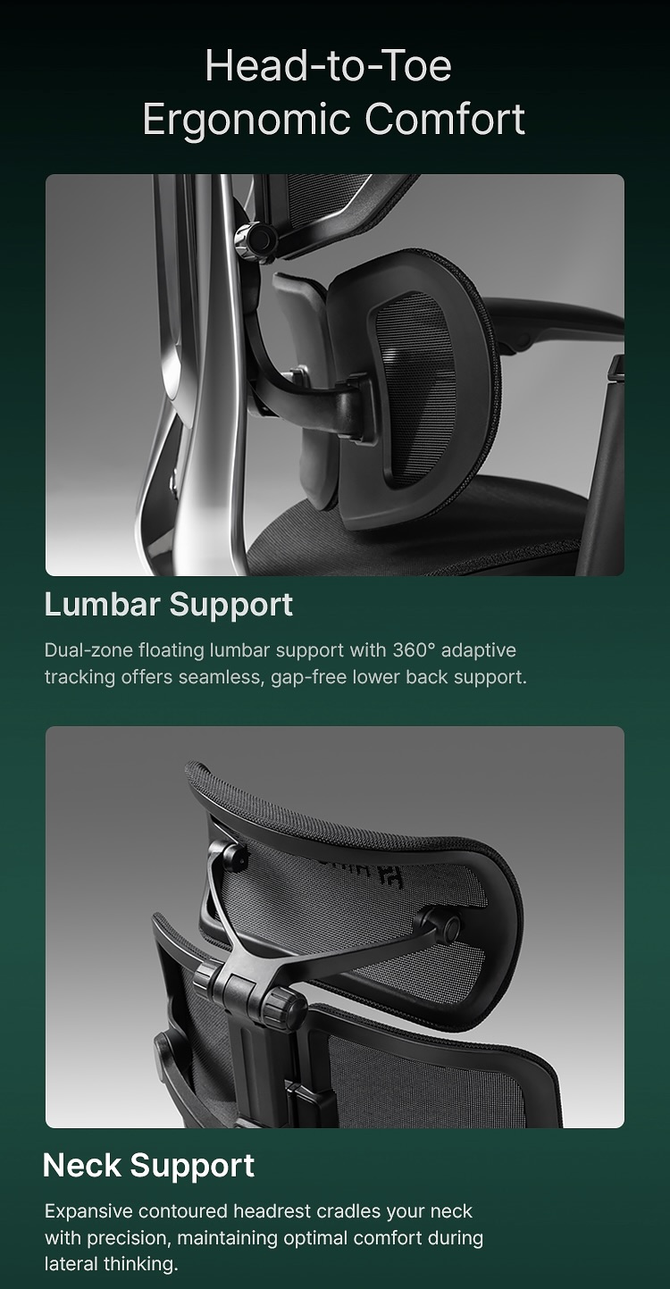 Hinomi X2 Pro Ergonomic Chair With 3D Back Support, Home Office Chair ...